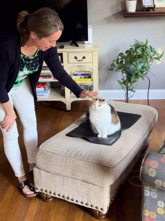 Premium Grounding Mat for Dogs | GroundingWell